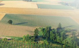 Fresno Madera Farm Credit